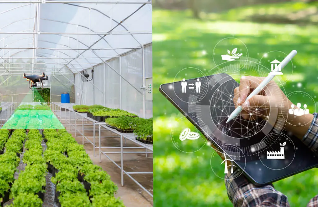 Harnessing Computer Vision Agriculture for Enhanced Farming Efficiency